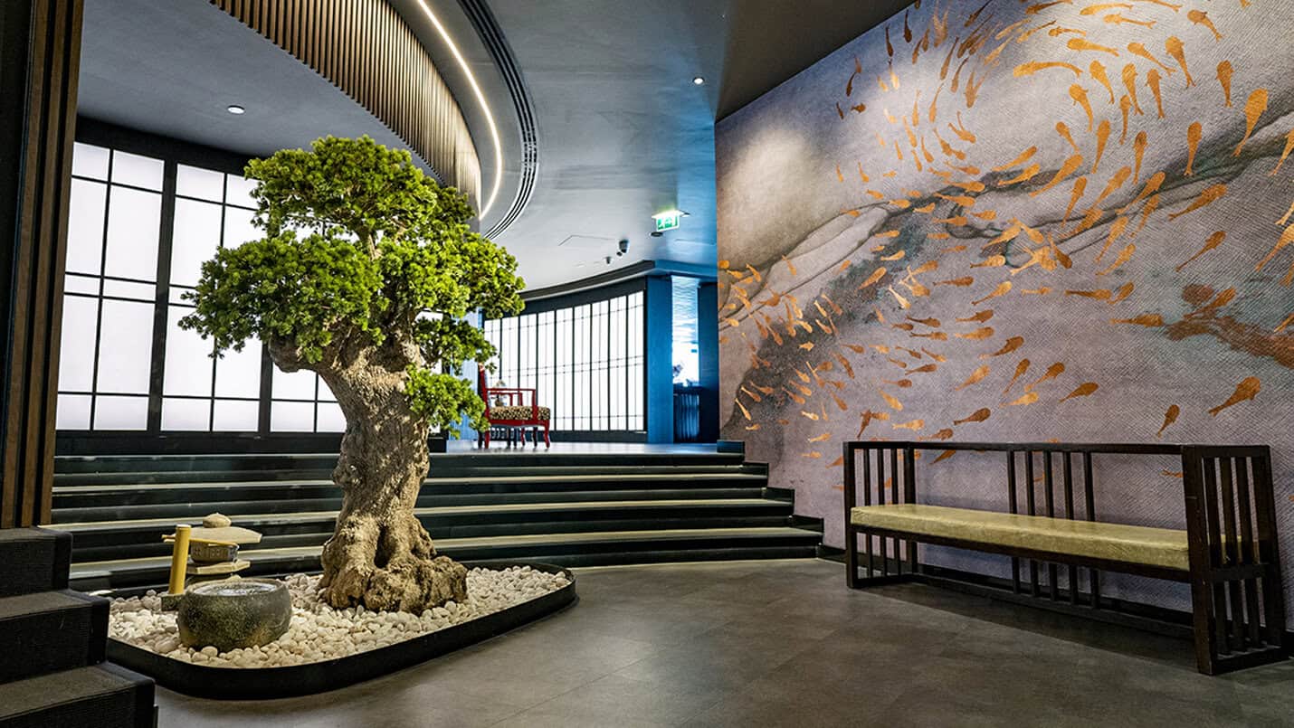 Restaurant Interior Designs for Elevated Dining Experience